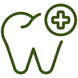 WAEF Scholarships | Deep Roots, Bright Futures